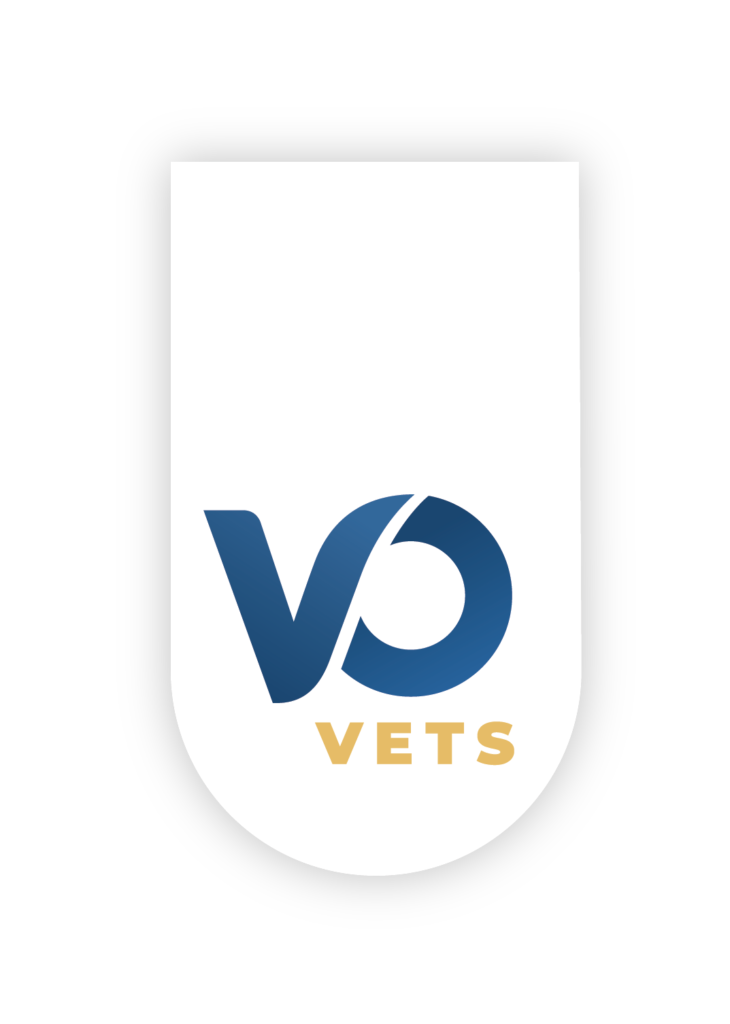 The Pros & Cons of Rats as Pets - VO Vets