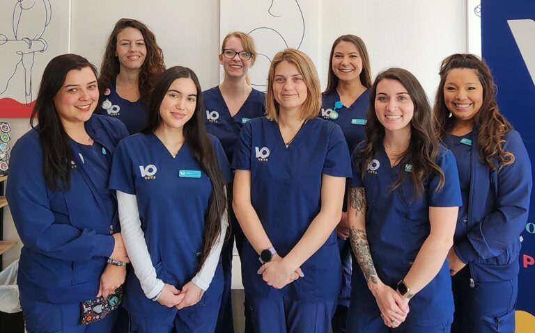 Veterinarians and Animal Hospital in Fort Worth, TX | Vo Vets