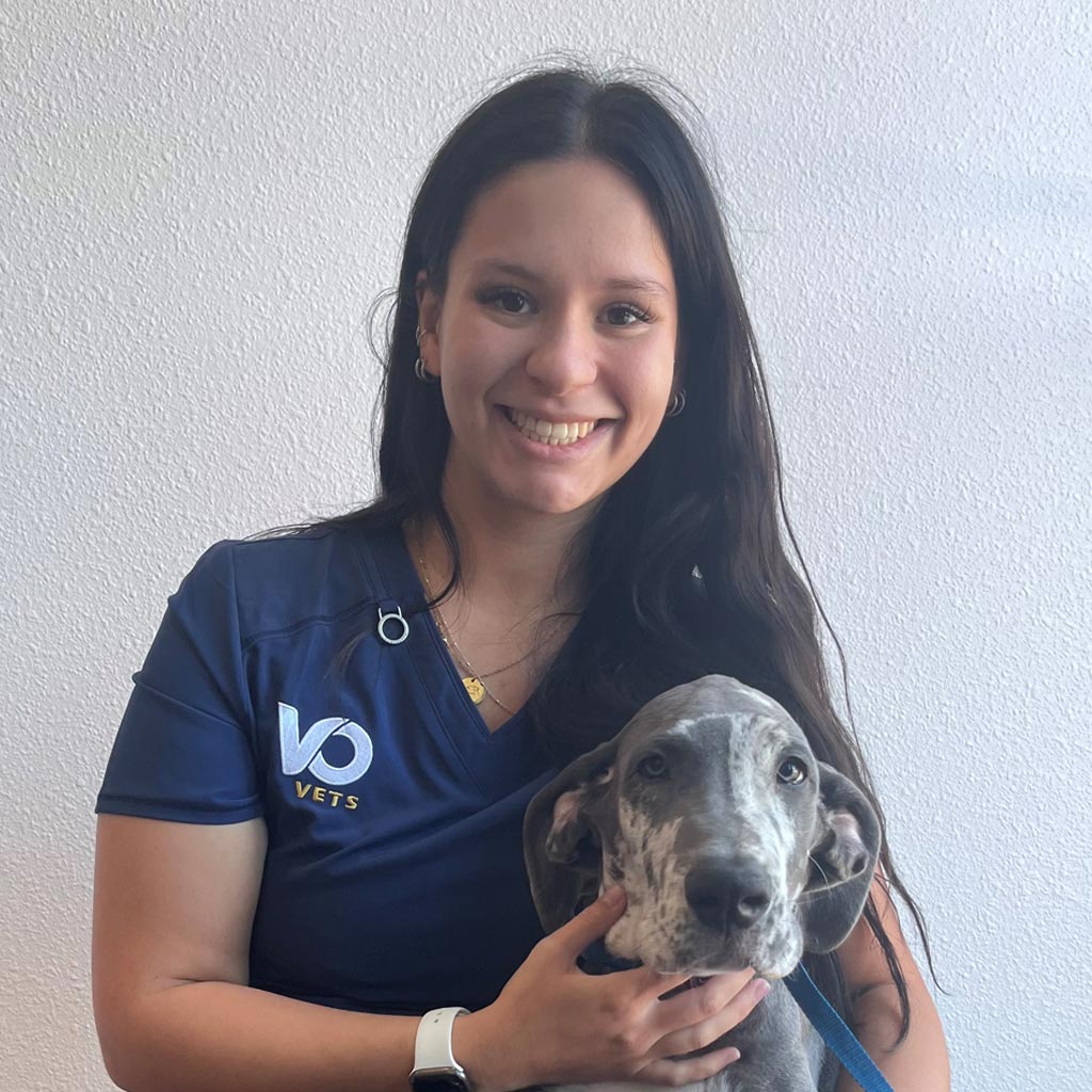 Our Vet Team - VO Vets