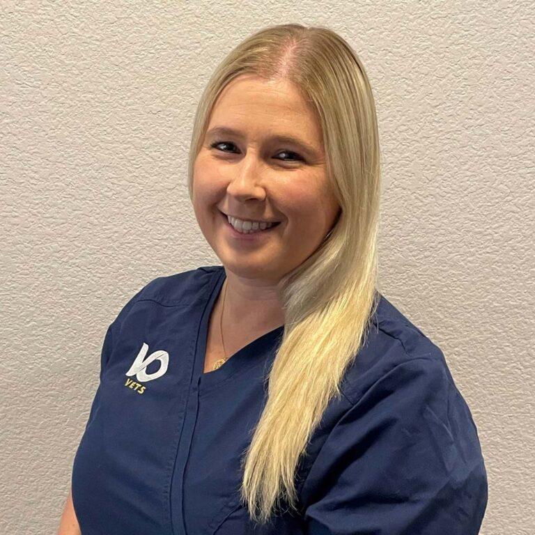 Our Vet Team - VO Vets