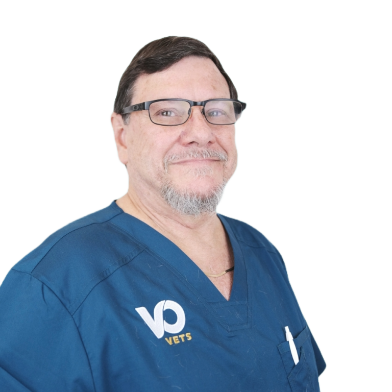 Our Vet Team - VO Vets